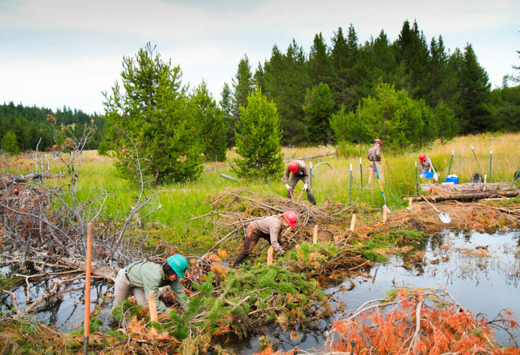 Be The Beaver - Trout Unlimited