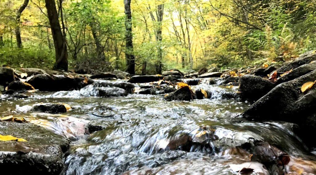 West Branch Susquehanna: A River In Recovery - Trout Unlimited