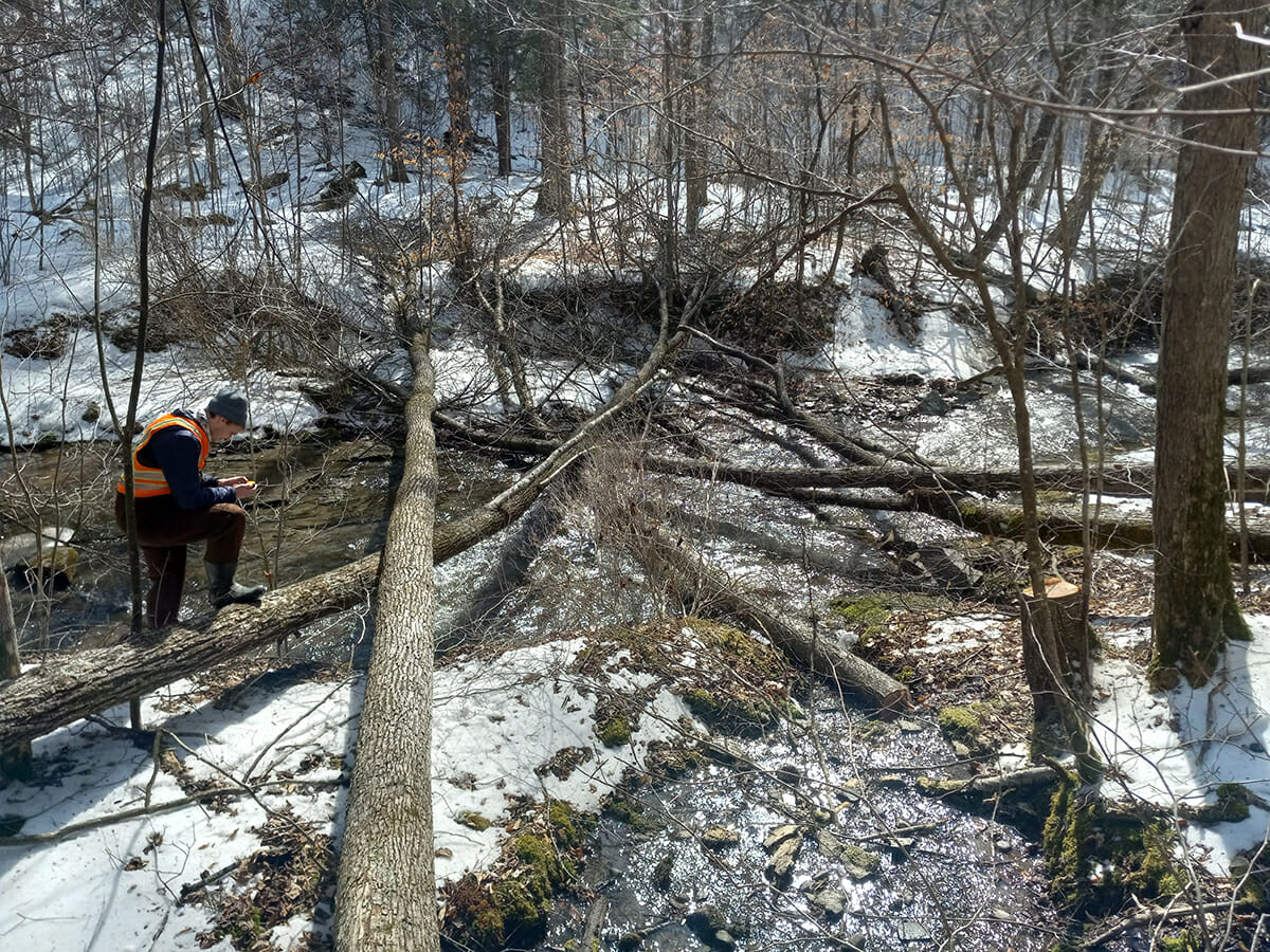 A Beautiful Mess - Trout Unlimited