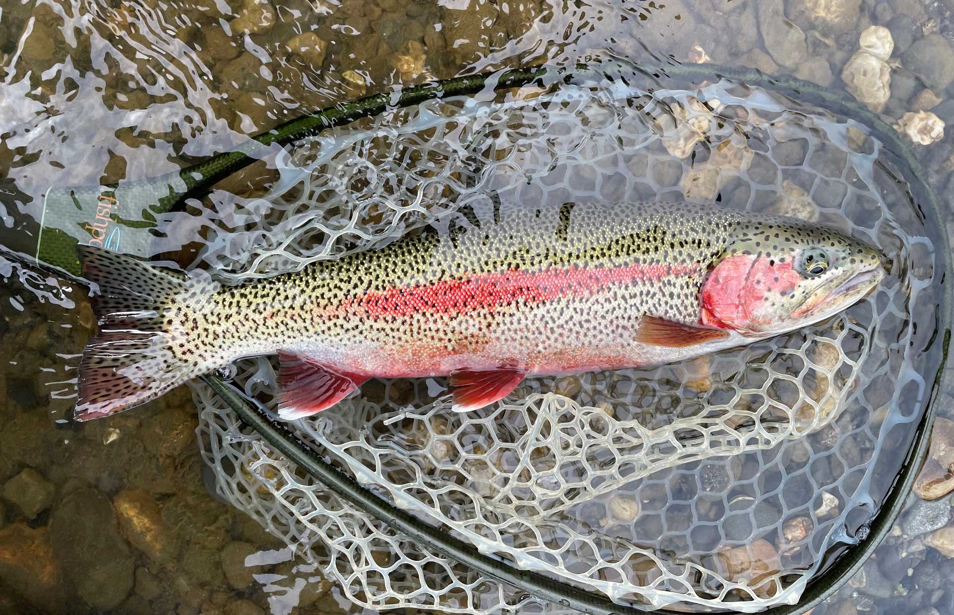 Maintaining A Wild Susitna River System - Trout Unlimited