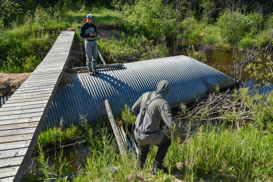 NOAA: $20M For Trout Unlimited Fish Passage Work - Trout Unlimited