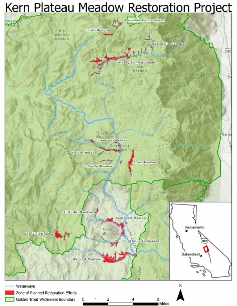 Working Together For The Gold: Meadow Restoration In Golden Trout ...