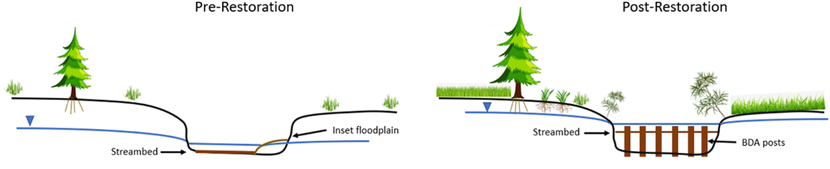 Effectiveness Monitoring Of Process-Based Restoration - Trout Unlimited
