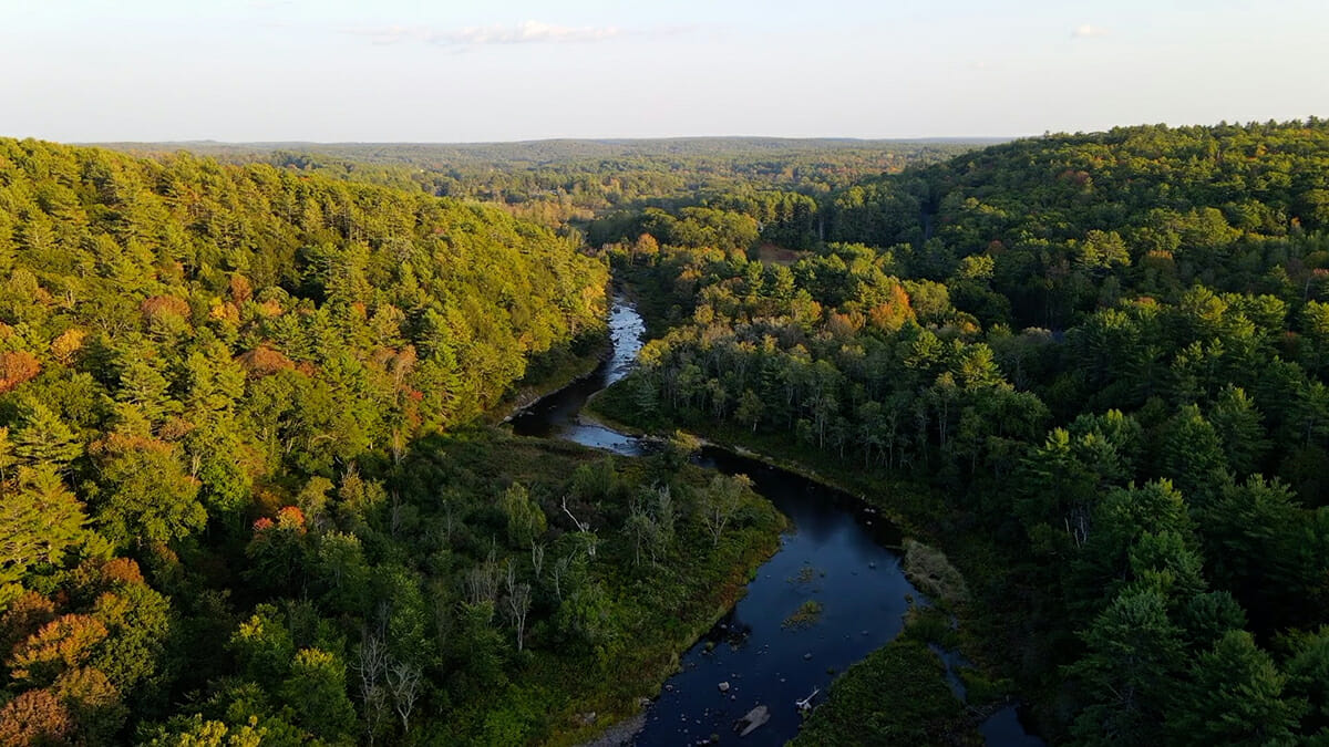 Maine’s Atlantic Salmon On The Brink - Trout Unlimited