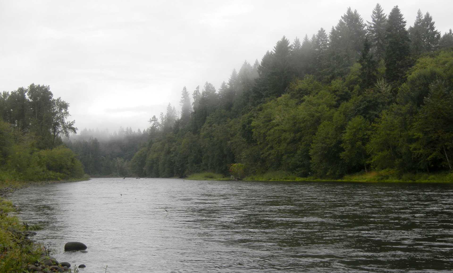 Clackamas River TU Steps Up For Their Home Waters - Trout Unlimited