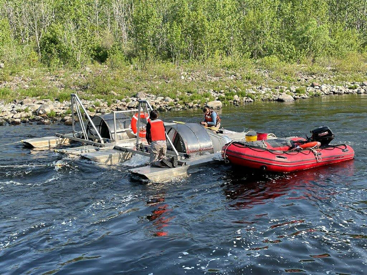 Maine’s Atlantic Salmon On The Brink - Trout Unlimited