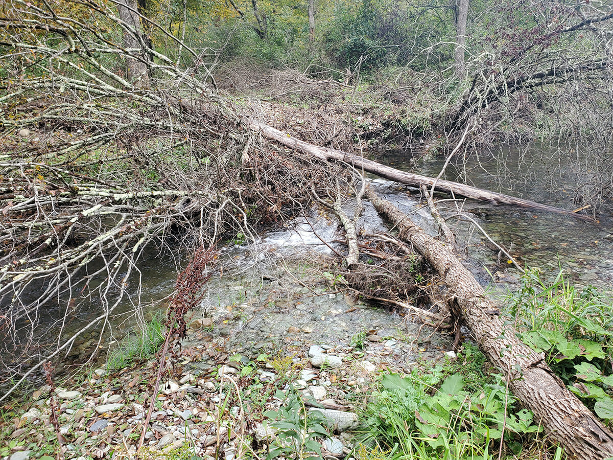 Battenkill Program Coordinator Remains Motivated After First Three ...