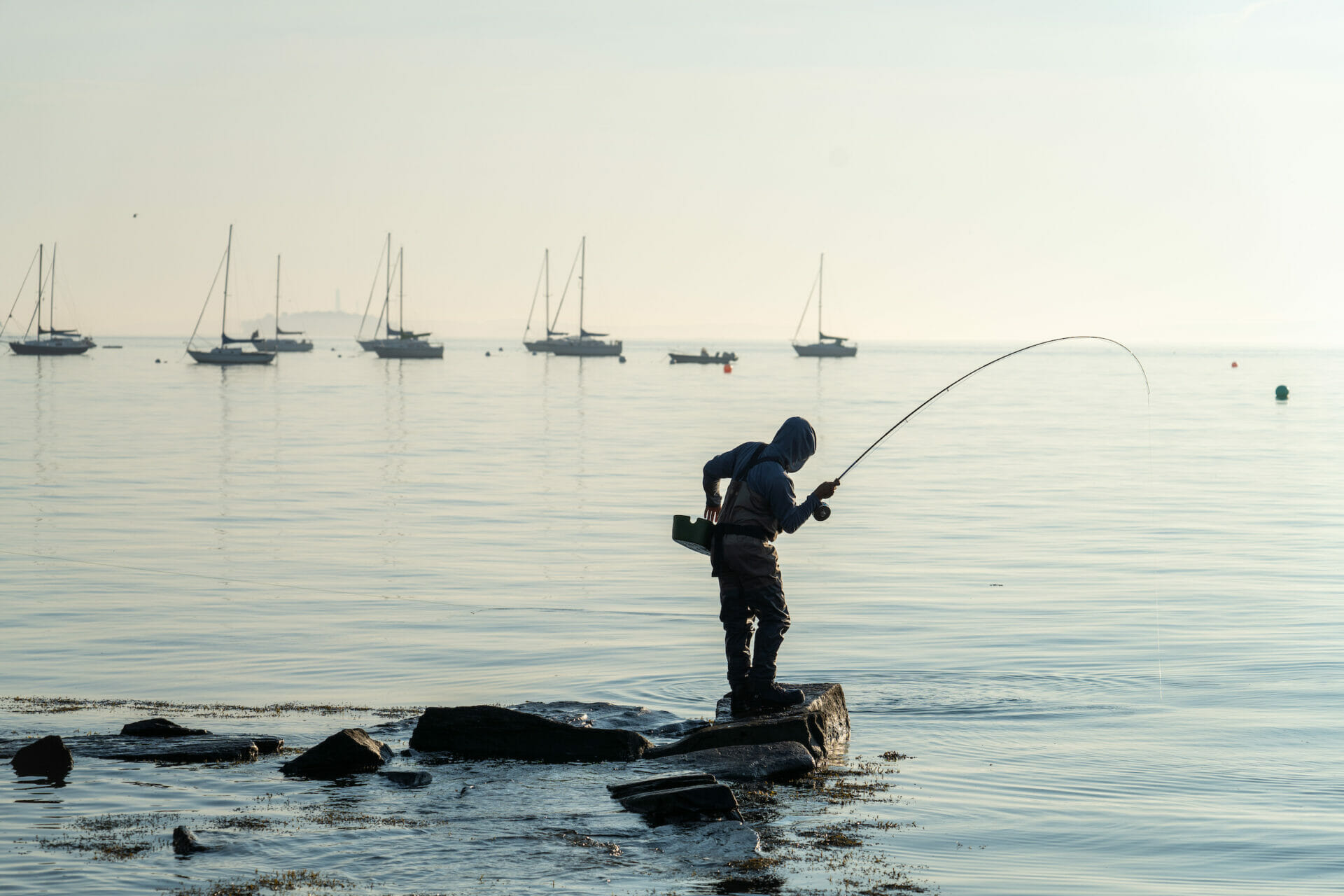 The True Cast - Cheering For The Fish - Trout Unlimited