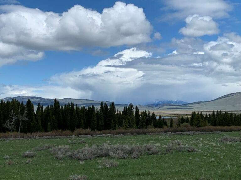 Refuge Field Guide: Red Rock Lakes National Wildlife Refuge - Trout ...