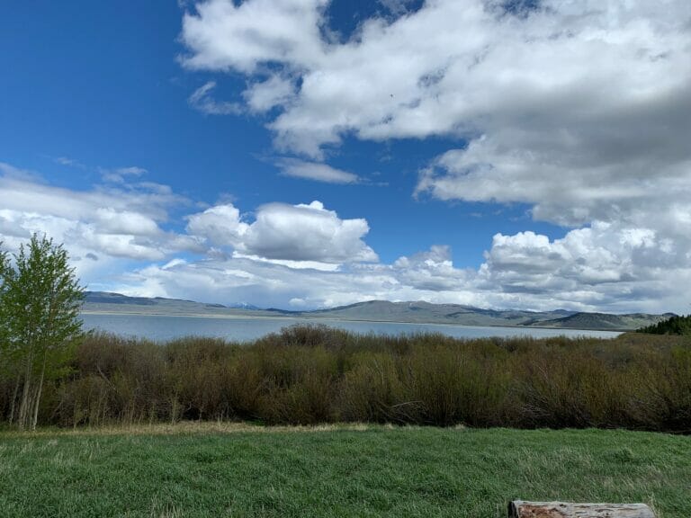Refuge Field Guide: Red Rock Lakes National Wildlife Refuge - Trout ...