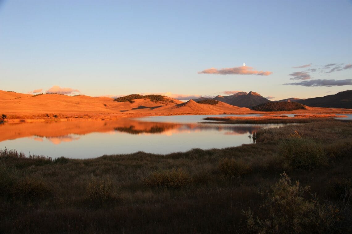 Refuge Field Guide: Red Rock Lakes National Wildlife Refuge - Trout ...