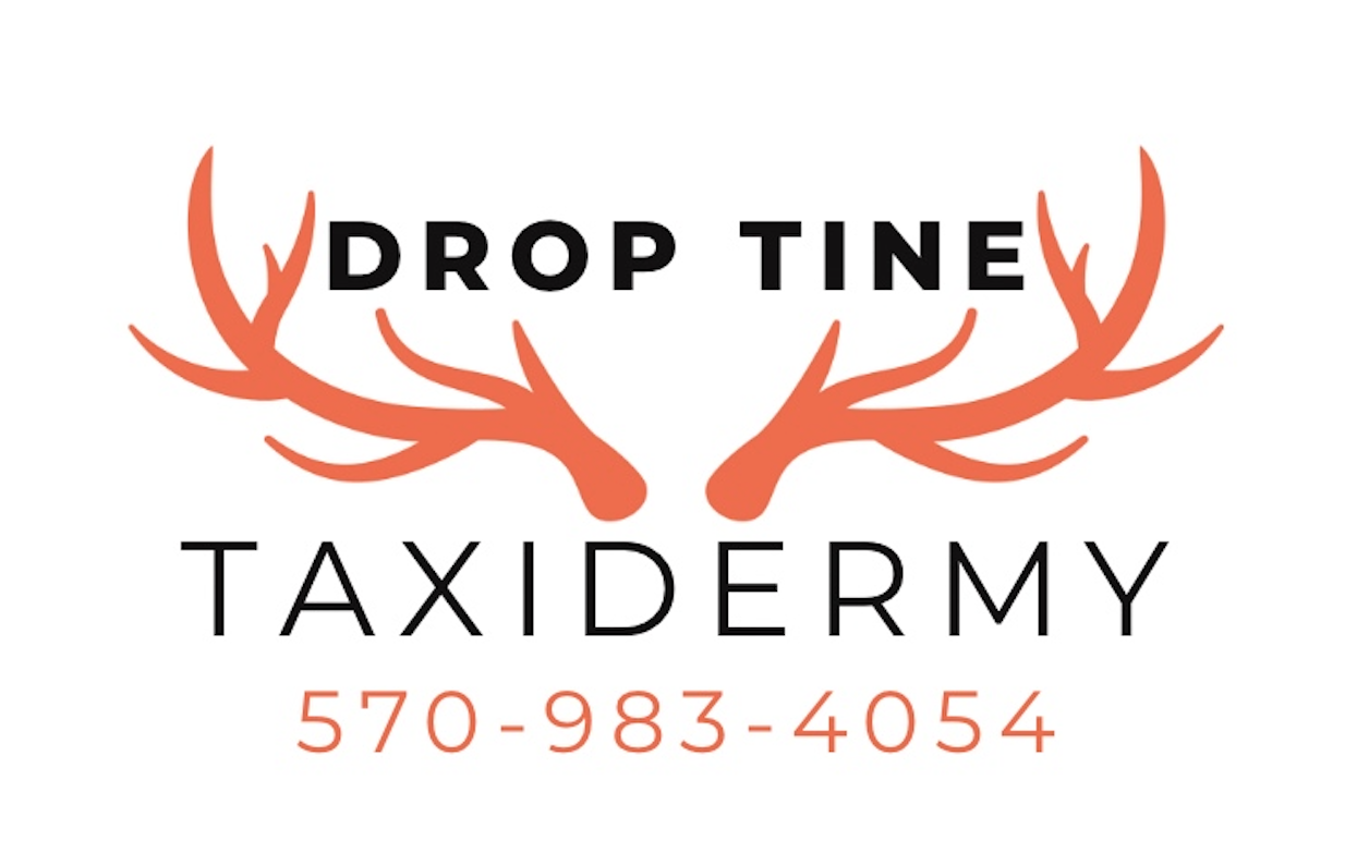 Drop Tine Taxidermy LLC - Trout Unlimited
