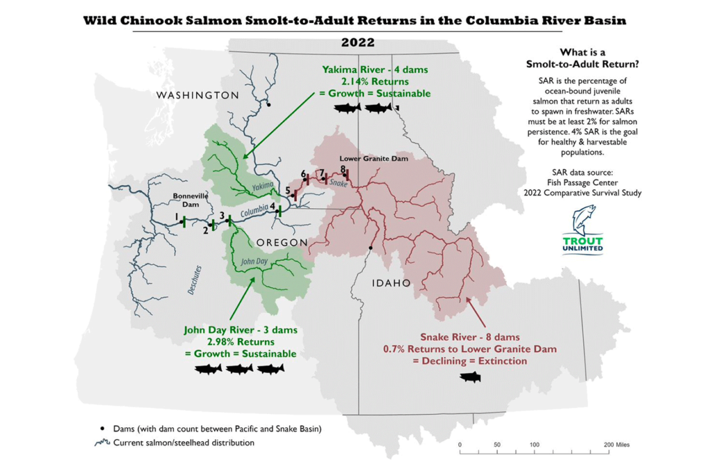 Lower Snake River - Trout Unlimited