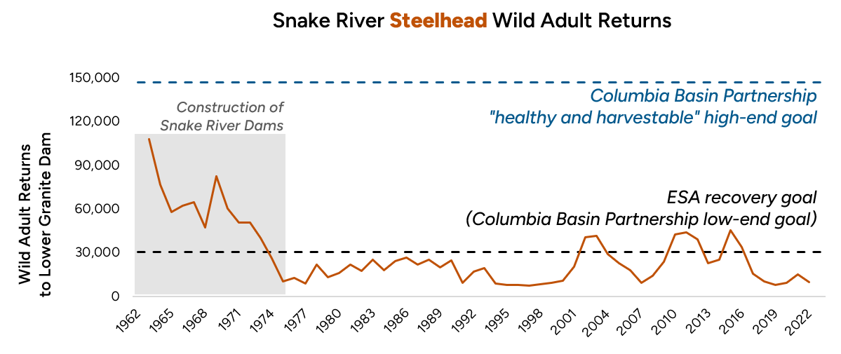 Salmon Recovery Must Be Built On Ambitious, Achievable Goals Instead Of ...