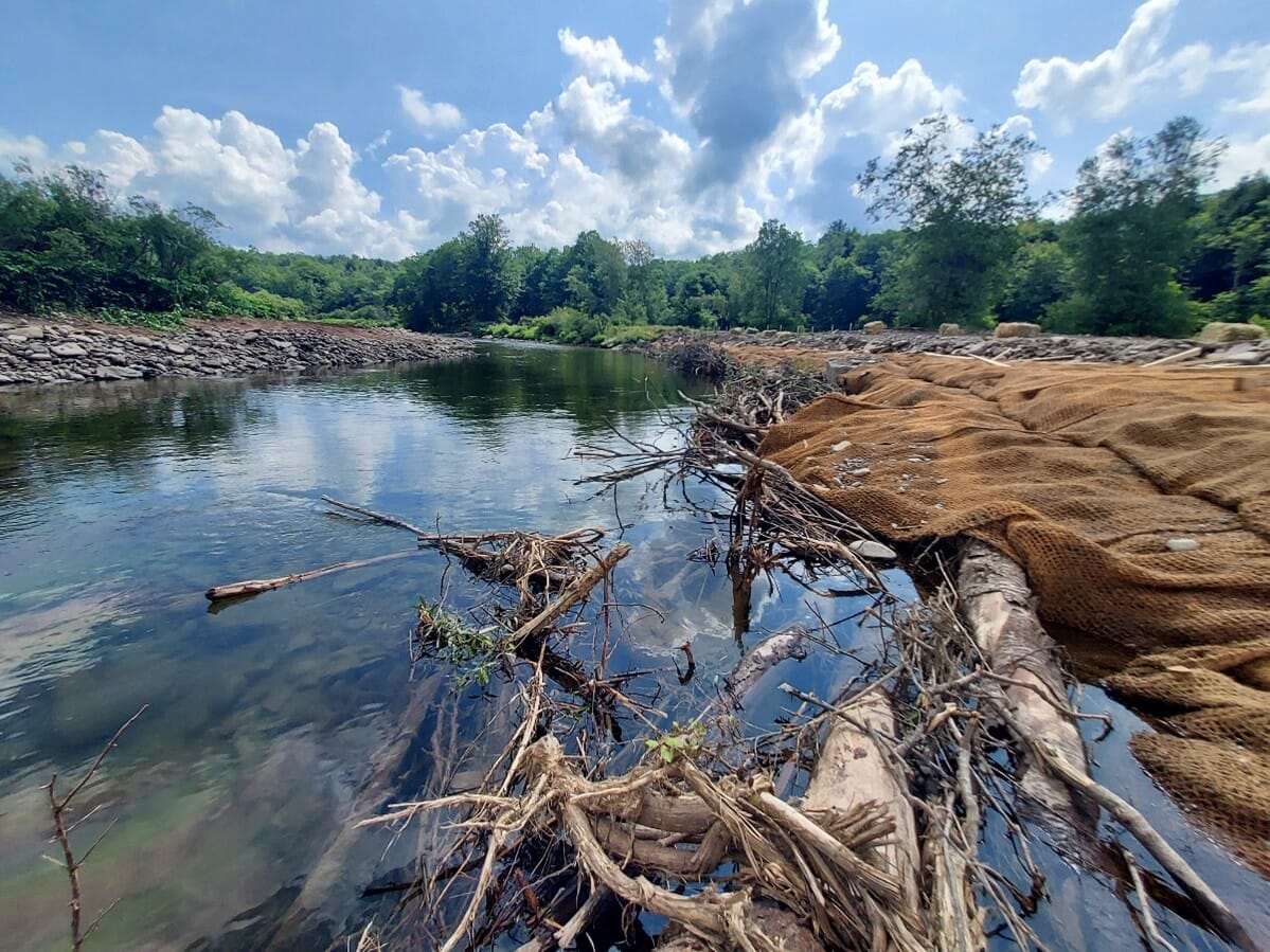 The Willowemoc- A Healthy Momentum - Trout Unlimited
