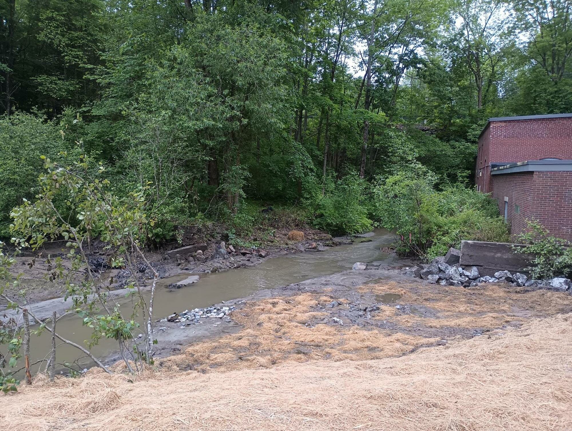 Dams Out: Maine’s Frost Gully Brook Runs Free Again - Trout Unlimited
