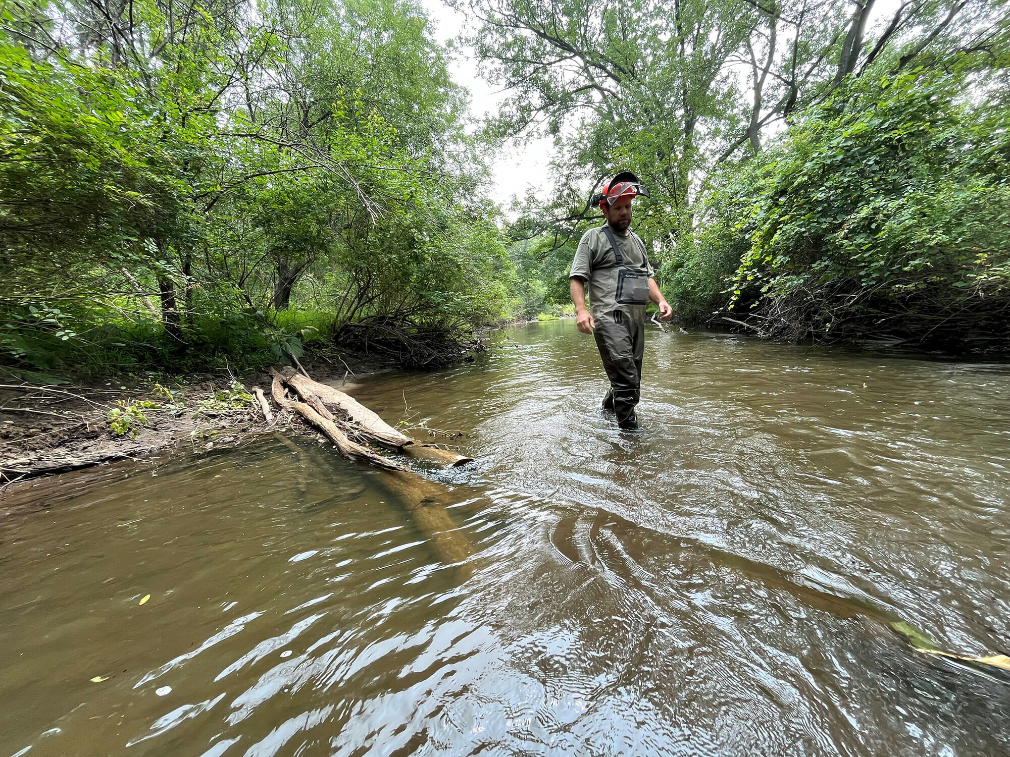 Trout In The Suburbs - Trout Unlimited