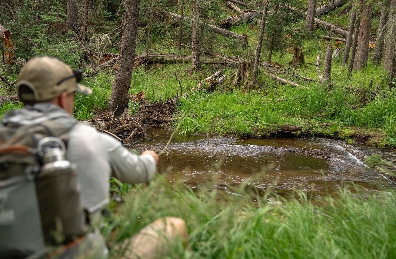 Dispatch From Apacheria- Apache Trout - Trout Unlimited