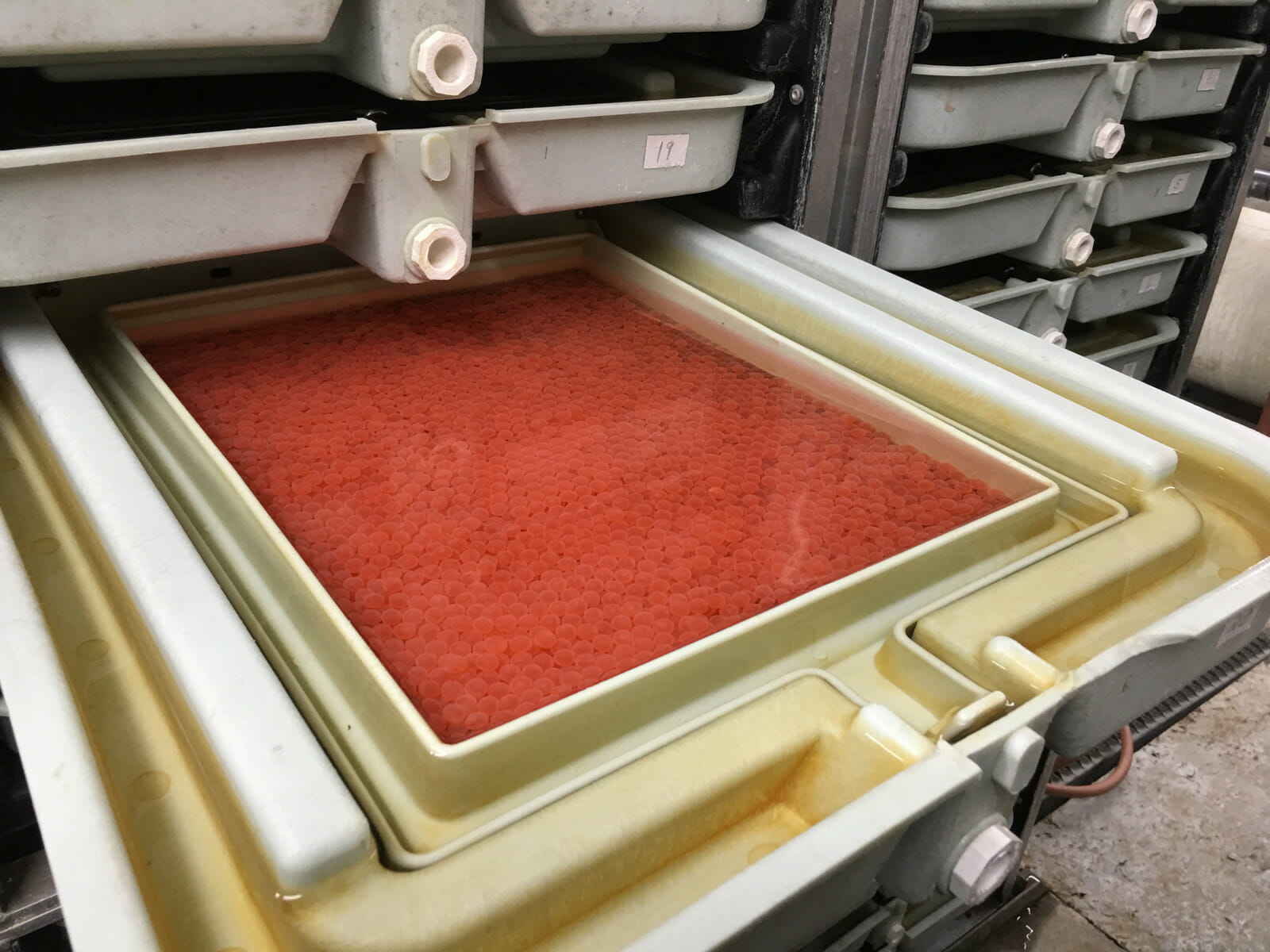 A New Scientific Resource To Better Understand The Global Impacts Of ...