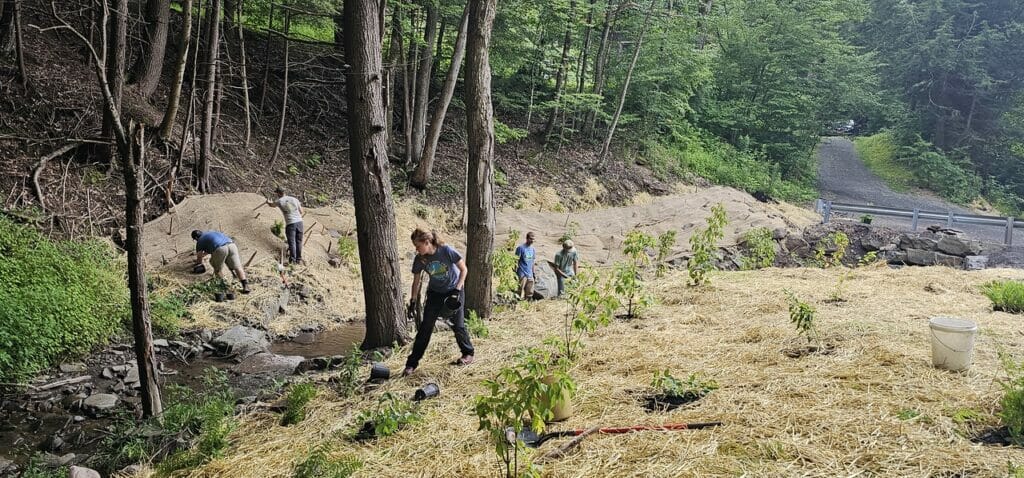 New York’s “Barrier Busters” On A Roll - Trout Unlimited