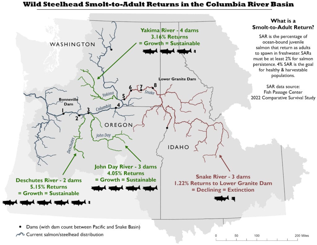 Lower Snake River - Trout Unlimited