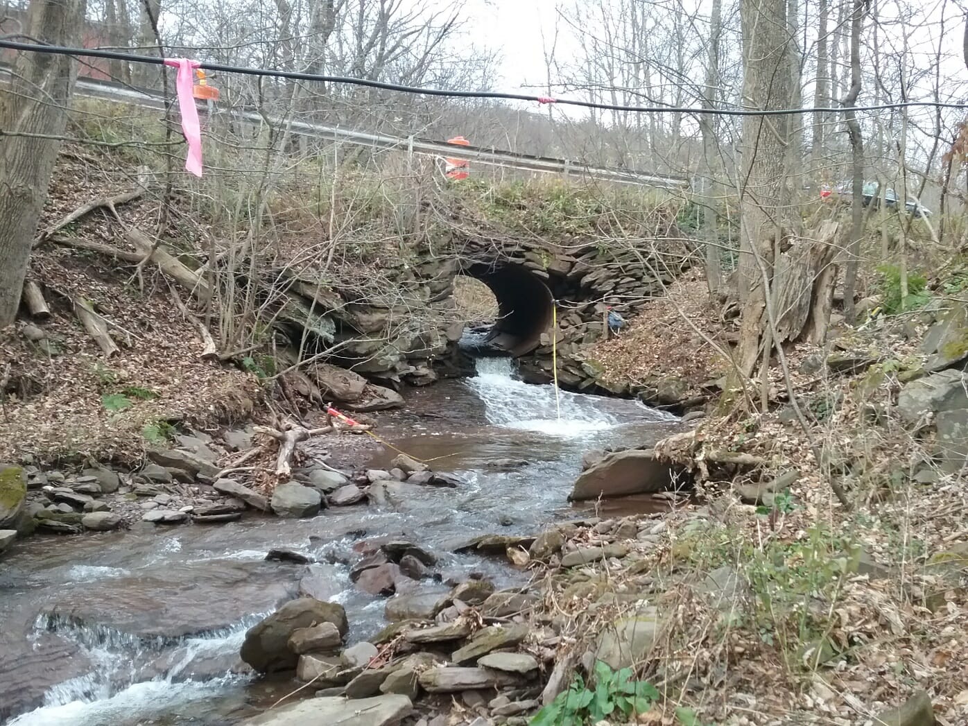 New York’s “Barrier Busters” On A Roll - Trout Unlimited