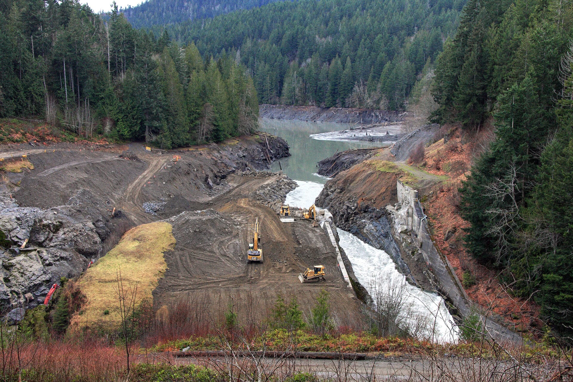 A Celebration On The Elwha River - Trout Unlimited