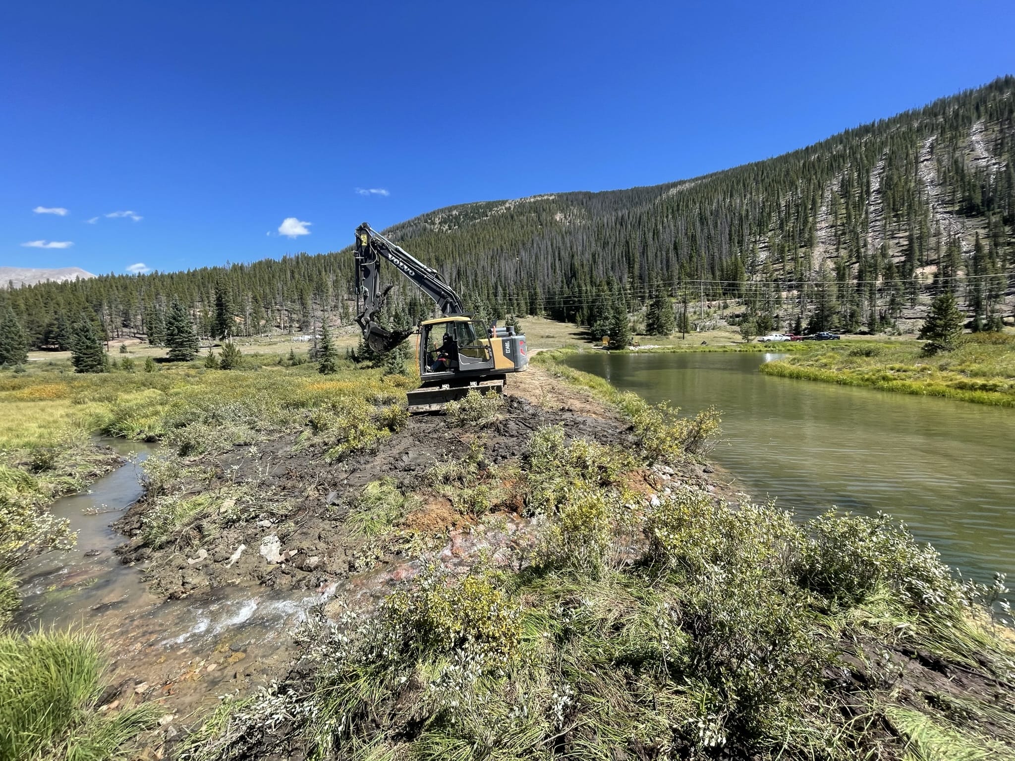 Monarch Park Ponds Restoration: A Collaborative Effort For Sustainable ...