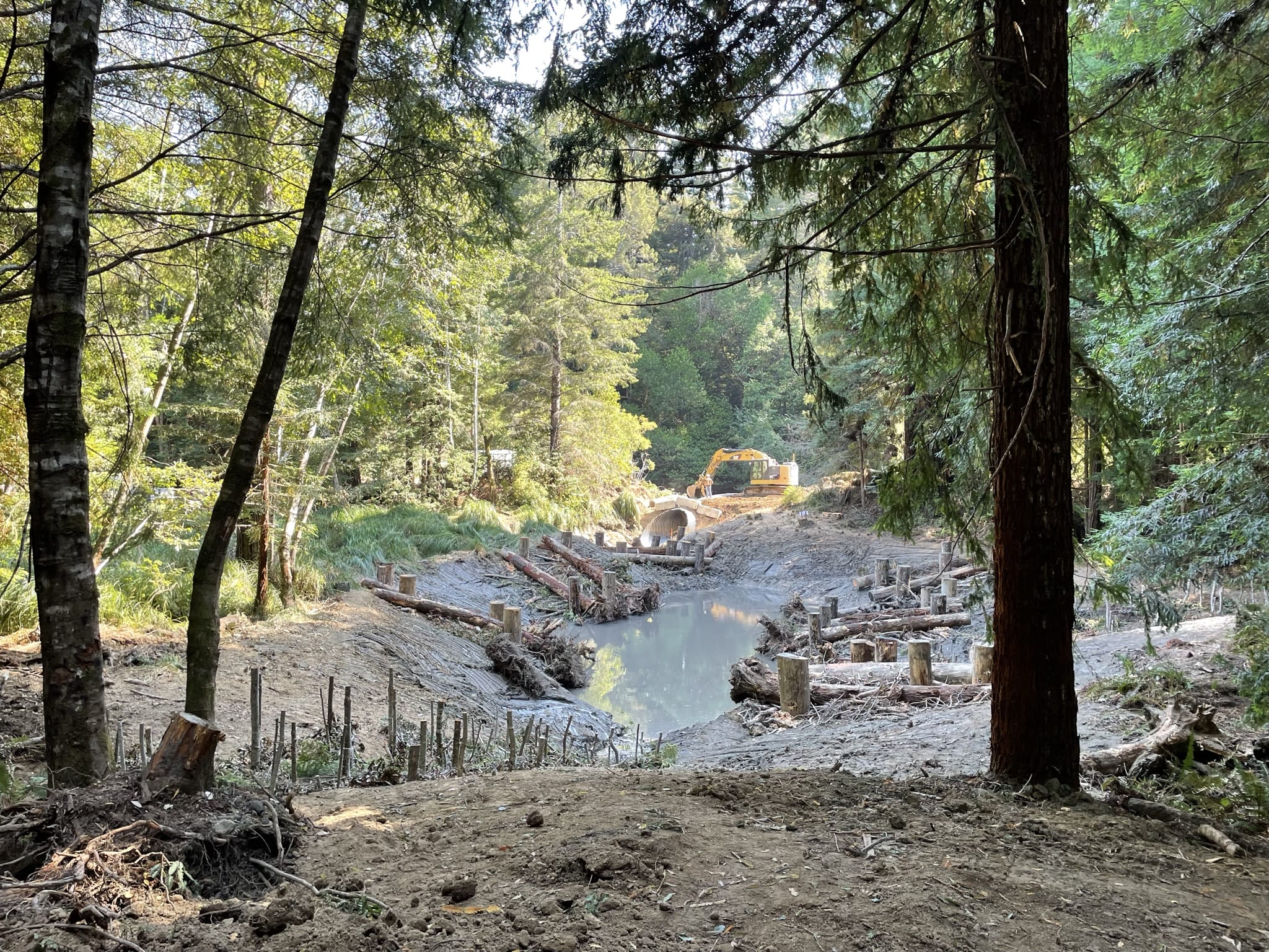 New Plan Aims To Recover Native Salmon And Steelhead In California ...