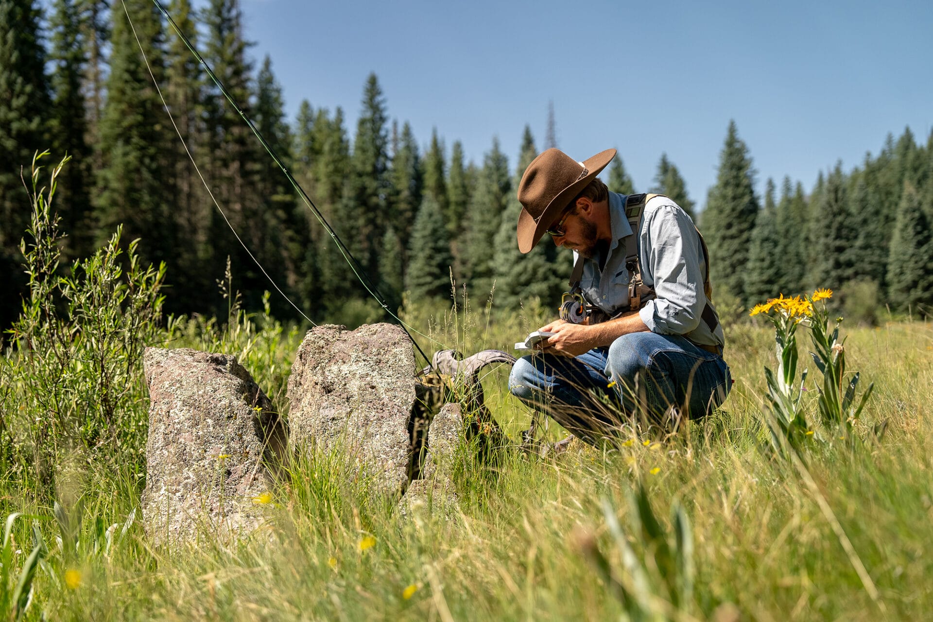 Resilience. - Trout Unlimited
