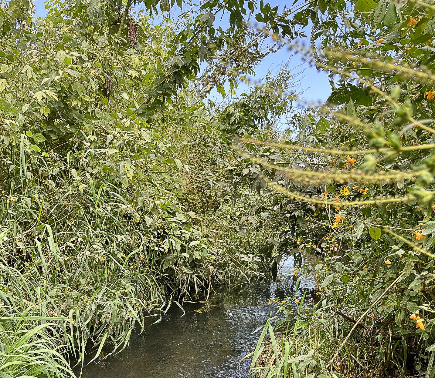 Are My Secret Streams Really My Secret To Keep? - Trout Unlimited