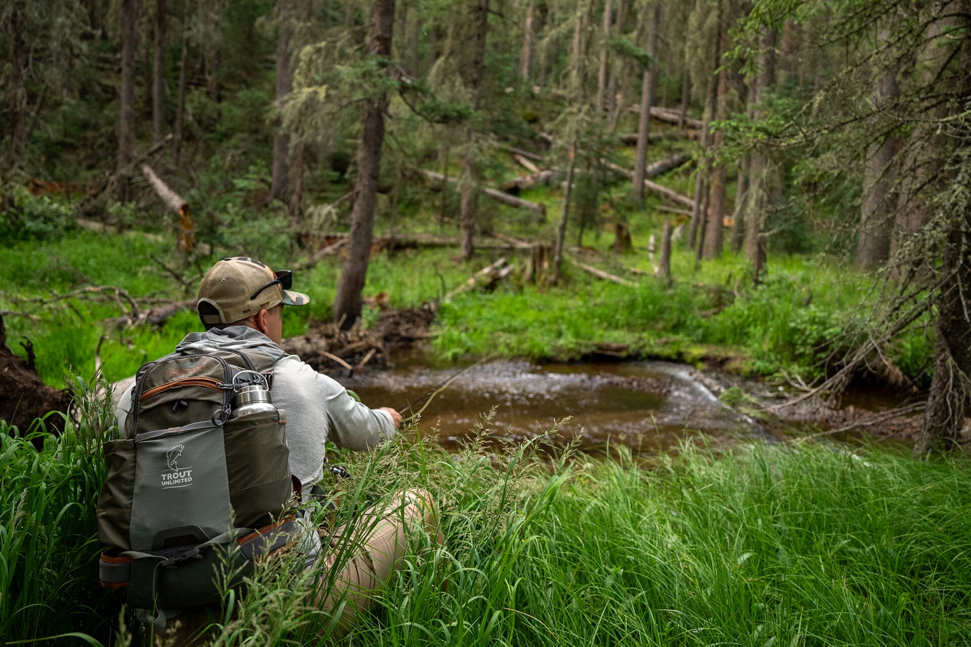 Resilience. - Trout Unlimited