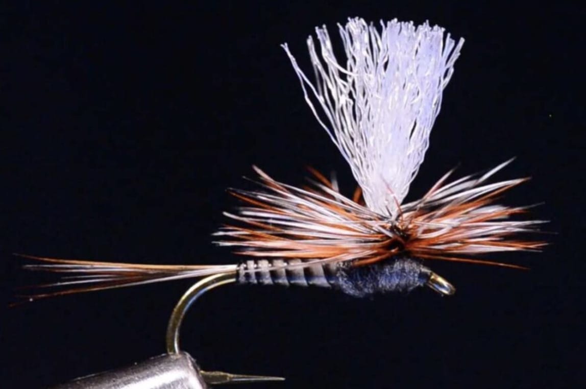 The True Cast - That Bug Thing… How Do I Pick The Right Fly? - Trout ...