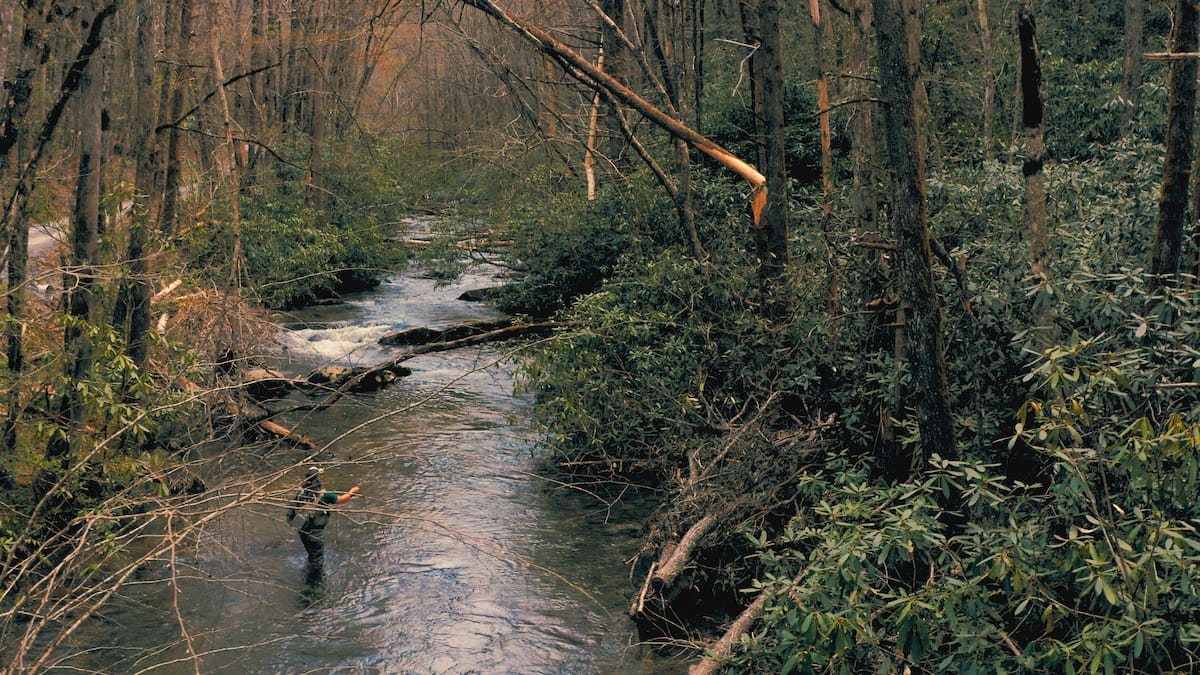 The True Cast - Secret Spots - Trout Unlimited