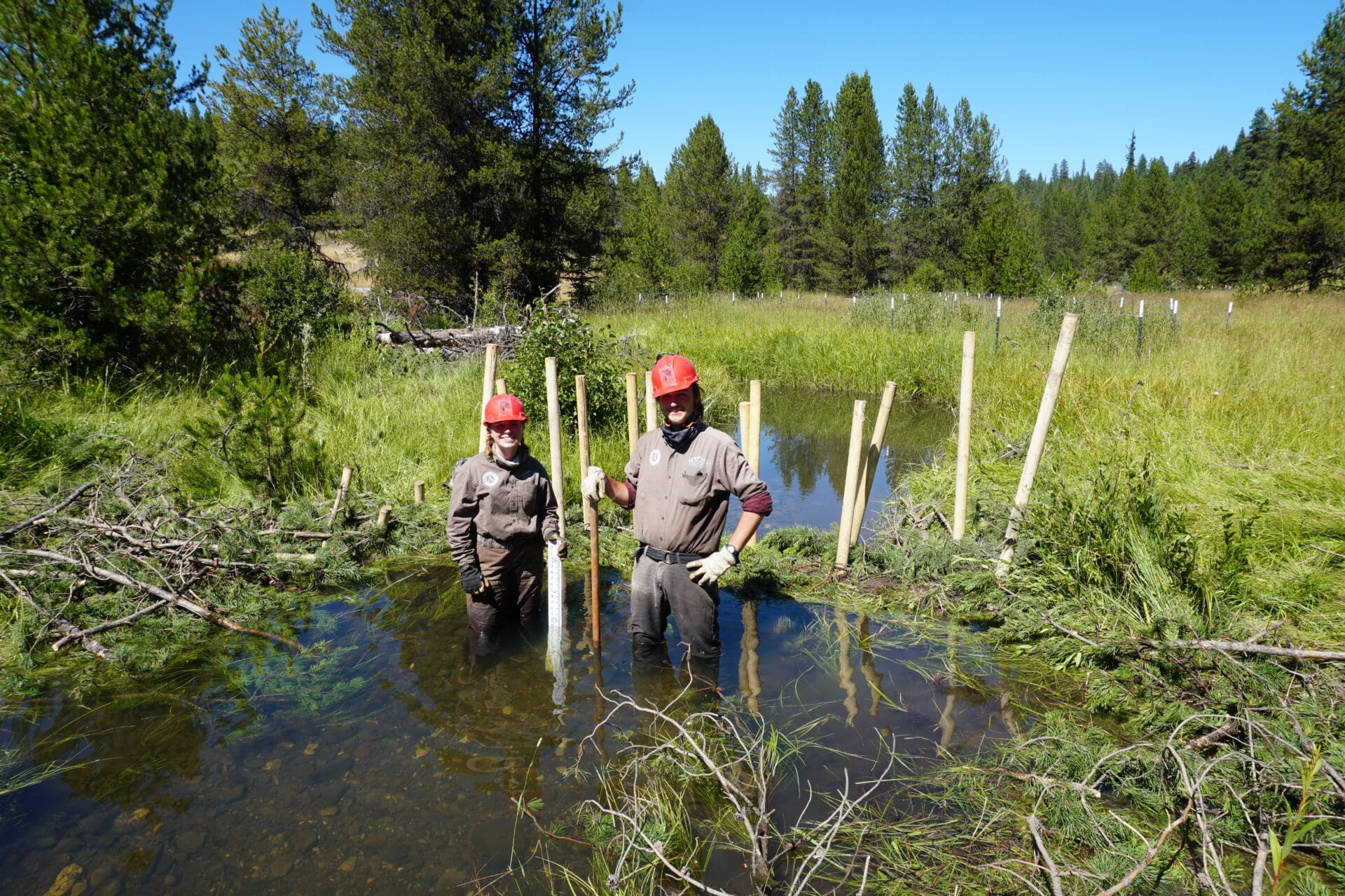 Trout Unlimited | Home