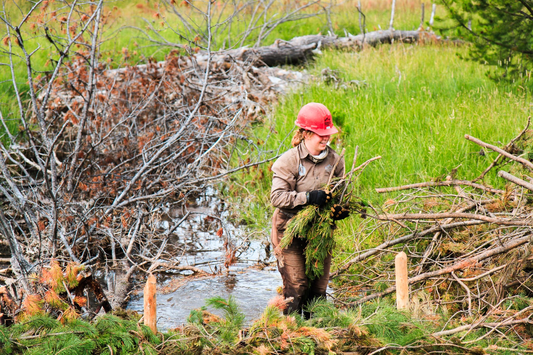 Leave It To Beavers - Trout Unlimited