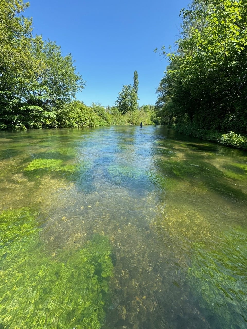 The True Cast - Is Eight Enough? - Trout Unlimited