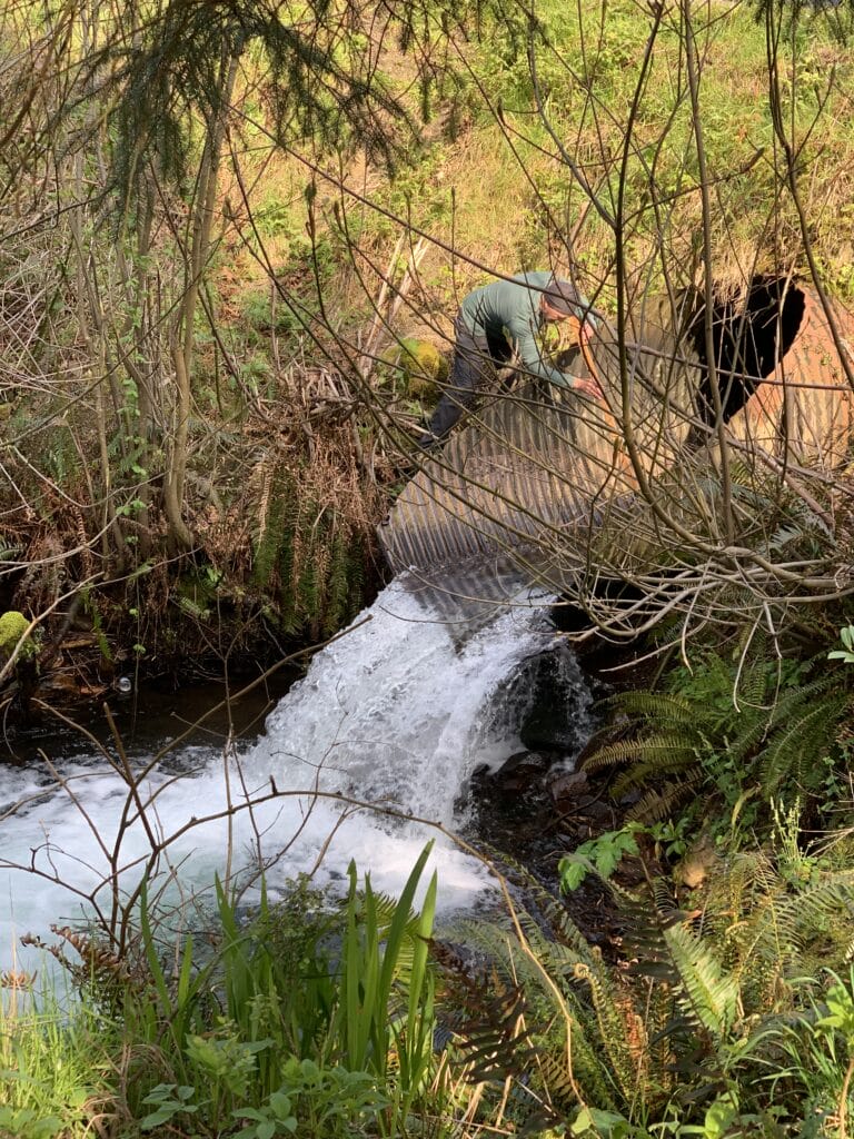 Building Bridges For Fish And People On The Salmon SuperHwy - Trout ...