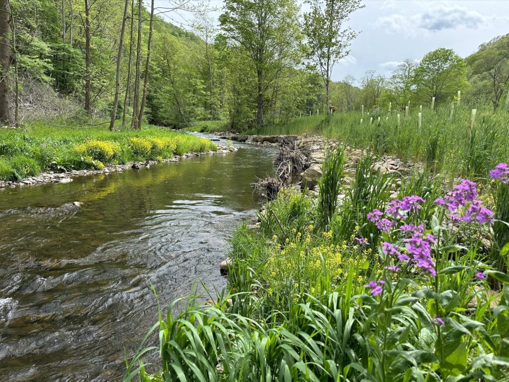 12 Hours And 305 Miles Of Trout Restoration In Virginia - Trout Unlimited