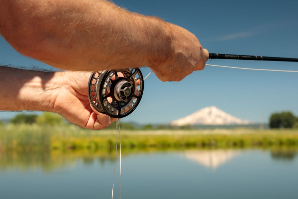 Protecting The Source Waters Of California's Largest Spring Creek ...