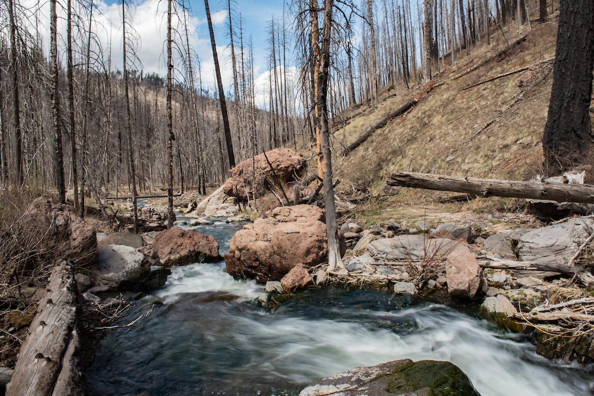 Drought, Wildfires And Our Work - Trout Unlimited