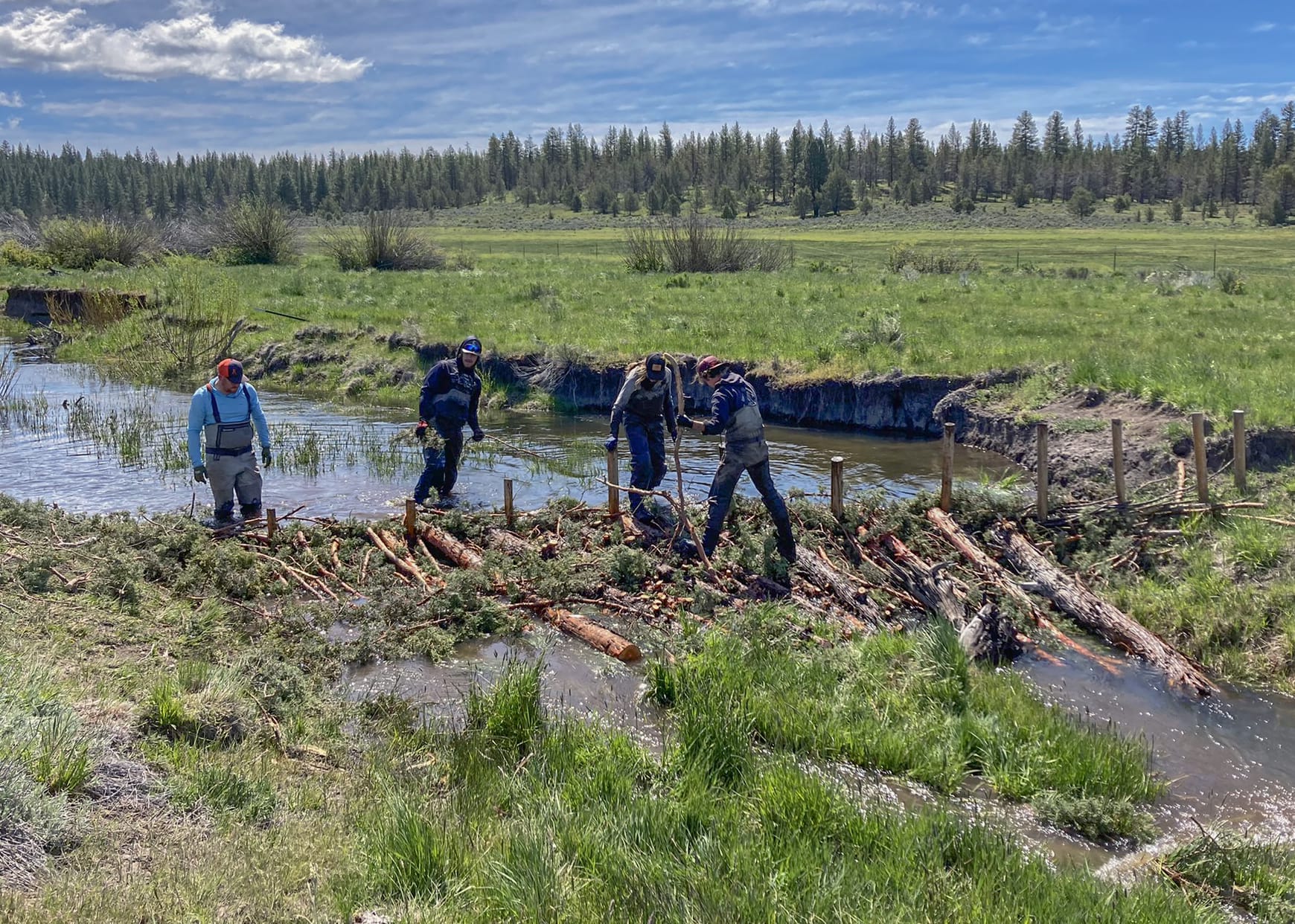 An Ongoing Commitment To Restoring The Upper Klamath - Trout Unlimited
