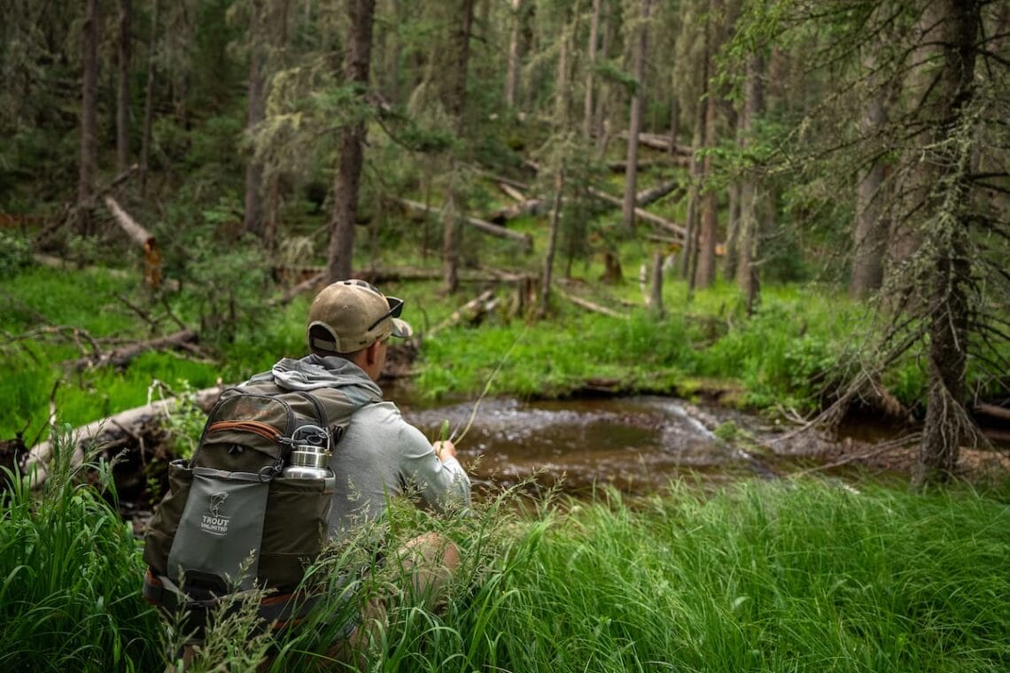 It’s Official: Apache Trout Are Back - Trout Unlimited