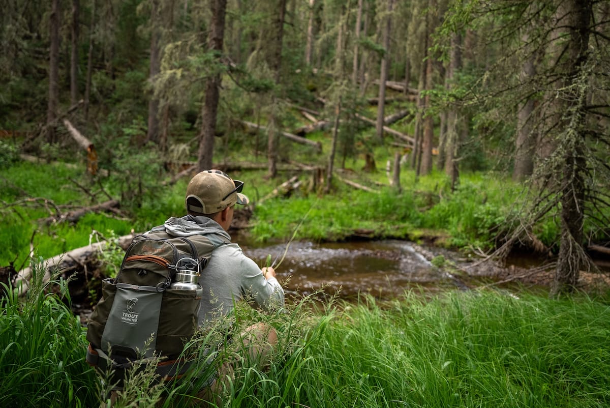It’s Official: Apache Trout Are Back - Trout Unlimited