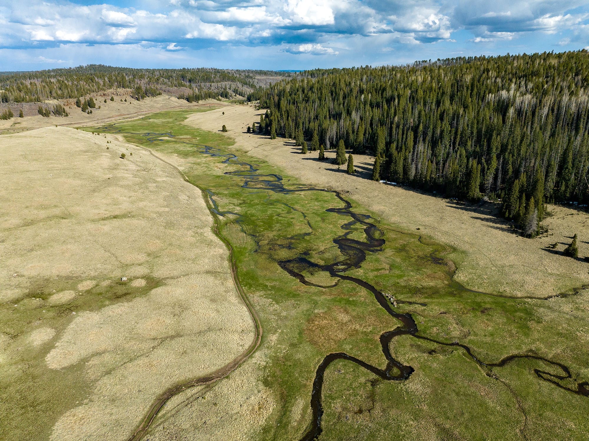It’s Official: Apache Trout Are Back - Trout Unlimited