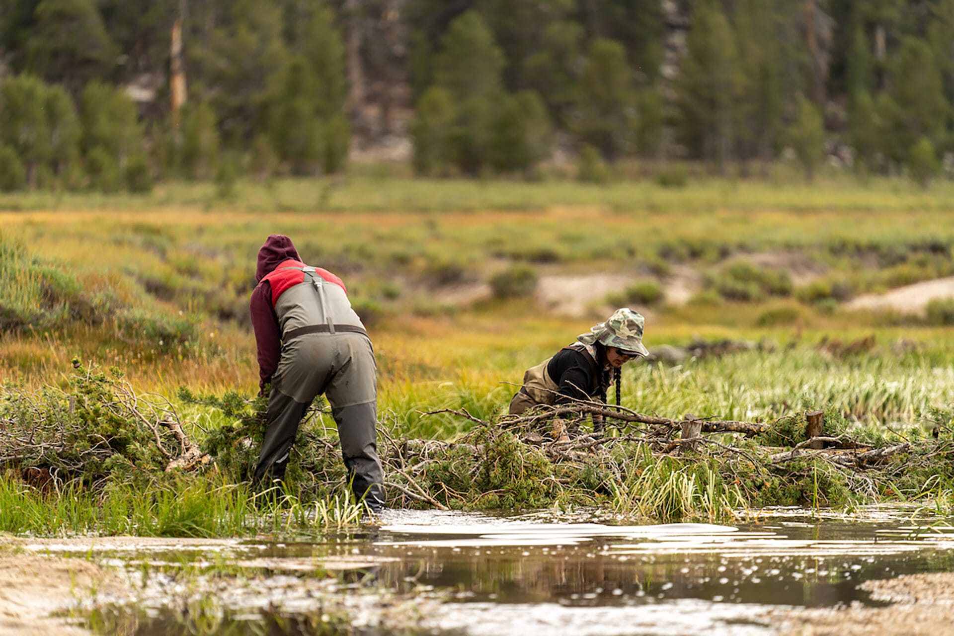 Seeking Blue, Seeing Gold - Trout Unlimited