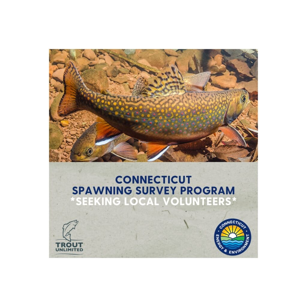 Blue Lines & Brook Trout – Mapping Critical Spawning Habitat In ...