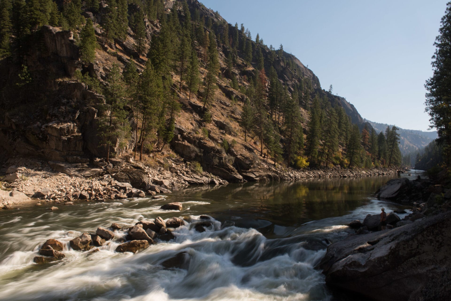 Solving A Math Problem For Snake River Chinook - Trout Unlimited