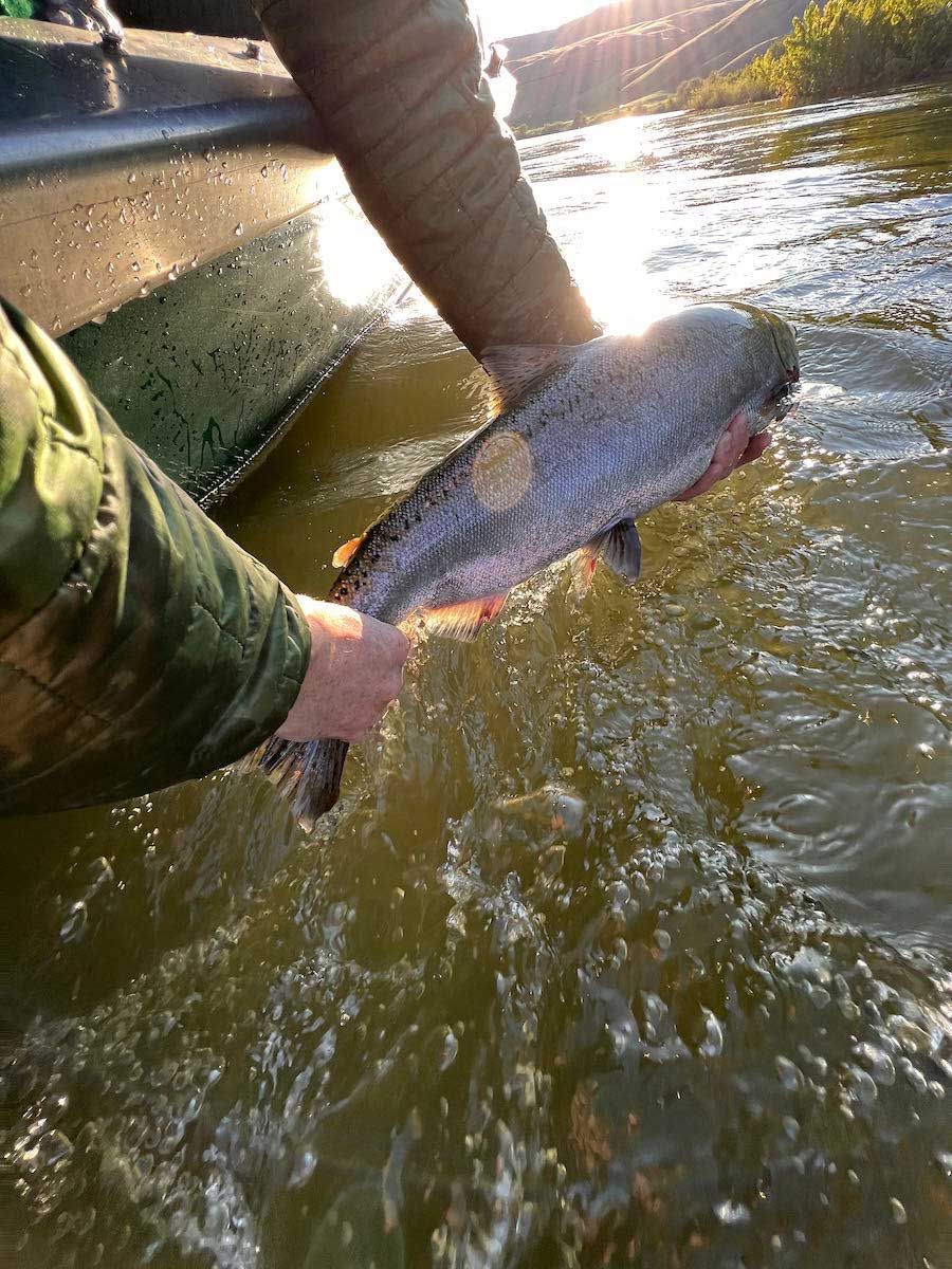 Watch Meateater’s Cal Investigate The Snake River Dams - Trout Unlimited