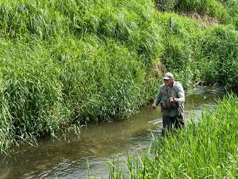 The Unknown Driftless—Fishing Unimproved Water - Trout Unlimited